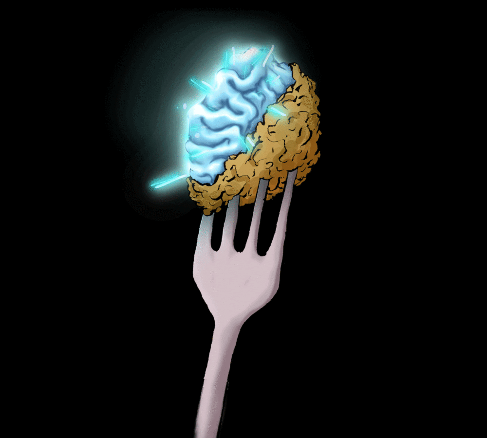 TASTE - 171208_BRAINS_INLINE | TASTE