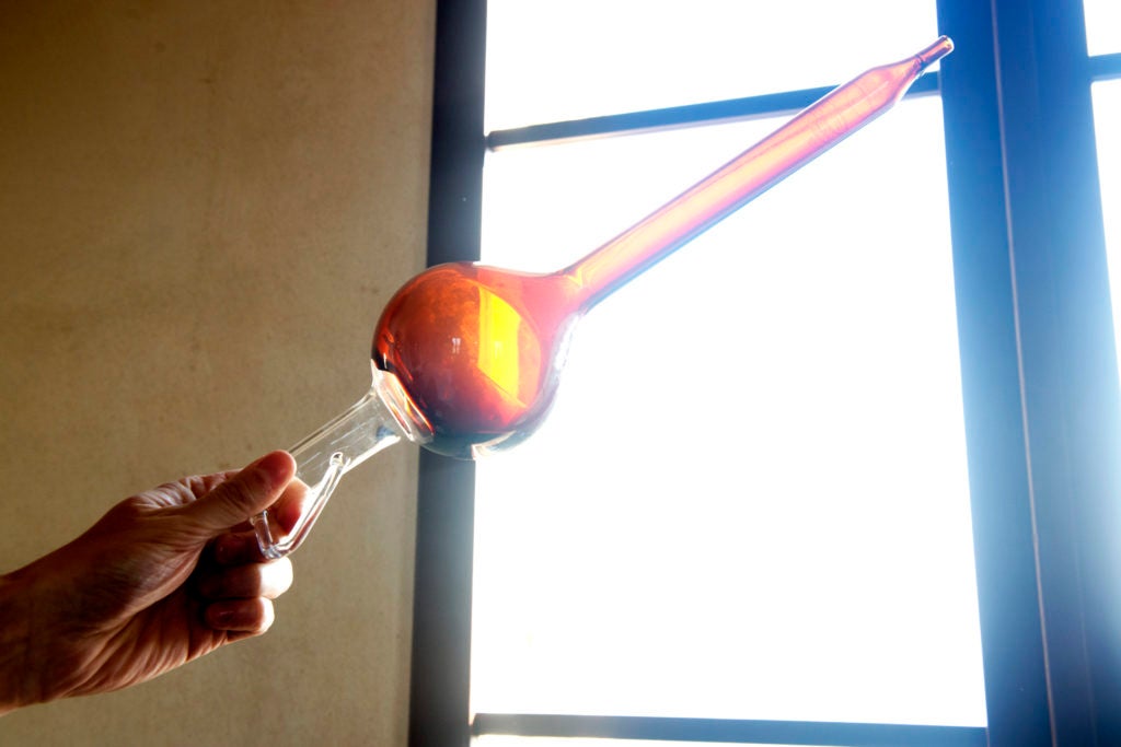 The Truth About Balsamic Vinegar | TASTE