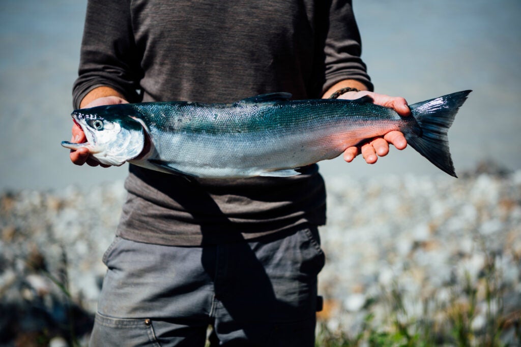 The Best Gravlax You Never Knew You Could Make | TASTE