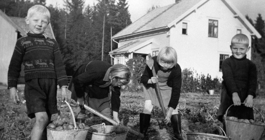 TASTE - Potato kids - social | TASTE