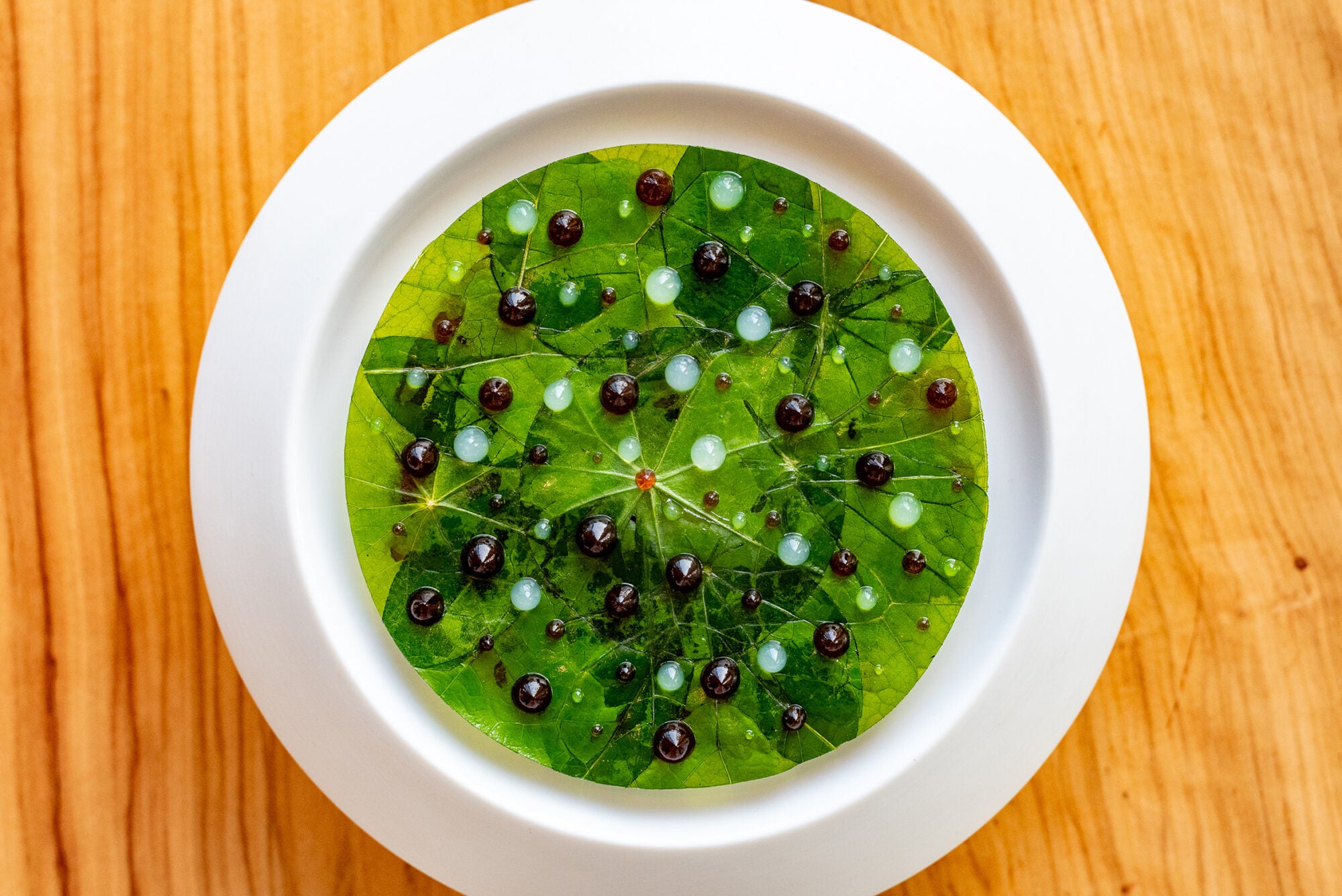 The Tasting Menu Gets a Trim | TASTE